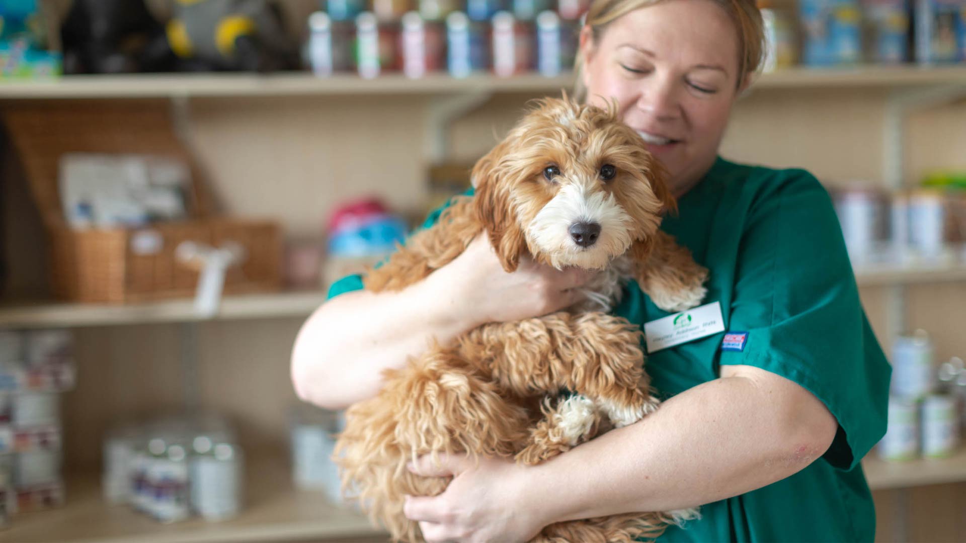 Veterinary Services | Local Vets in Newton Stewart and Stranraer ...