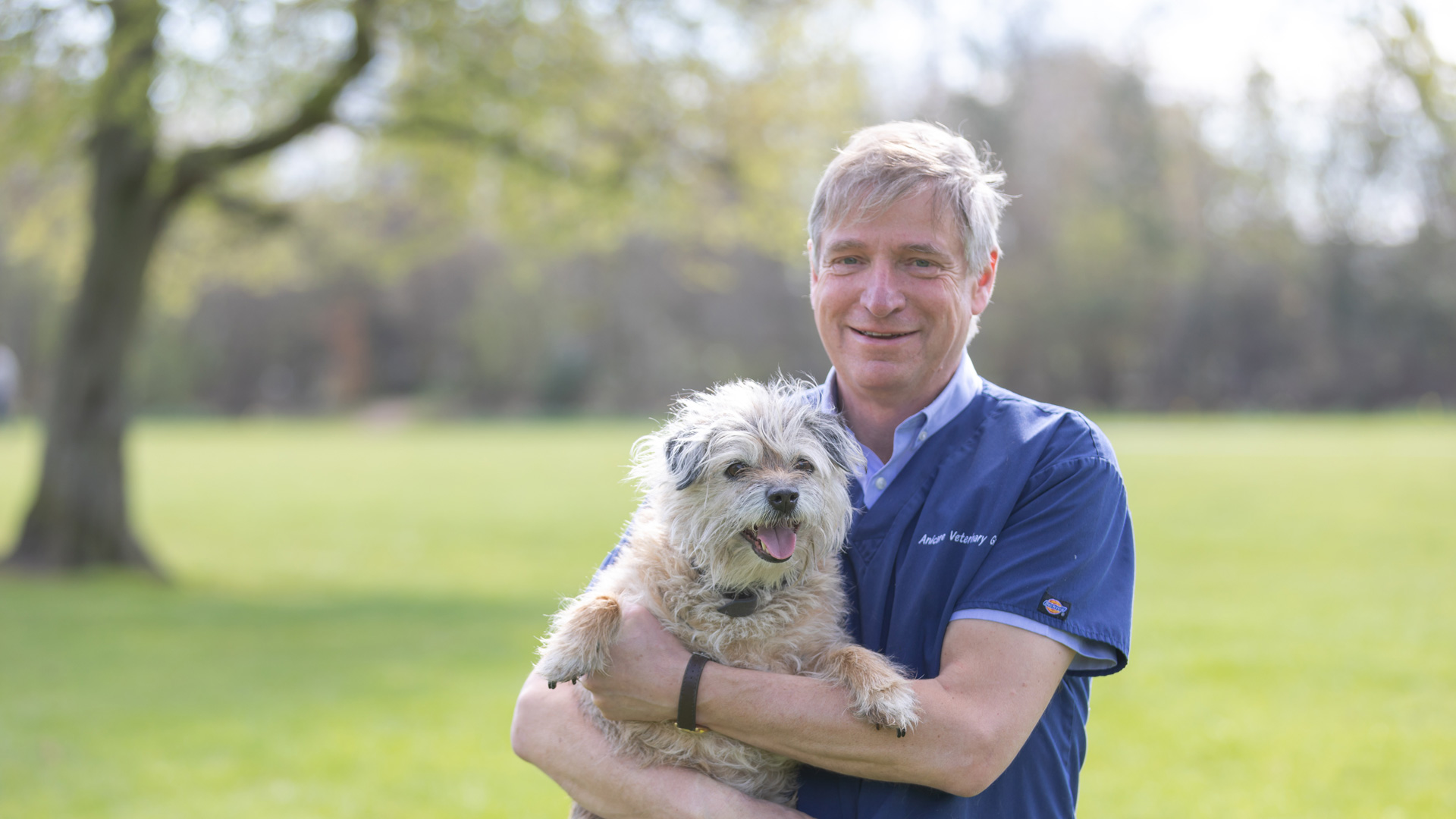 About us | Vets in Dublin - Anicare Ireland