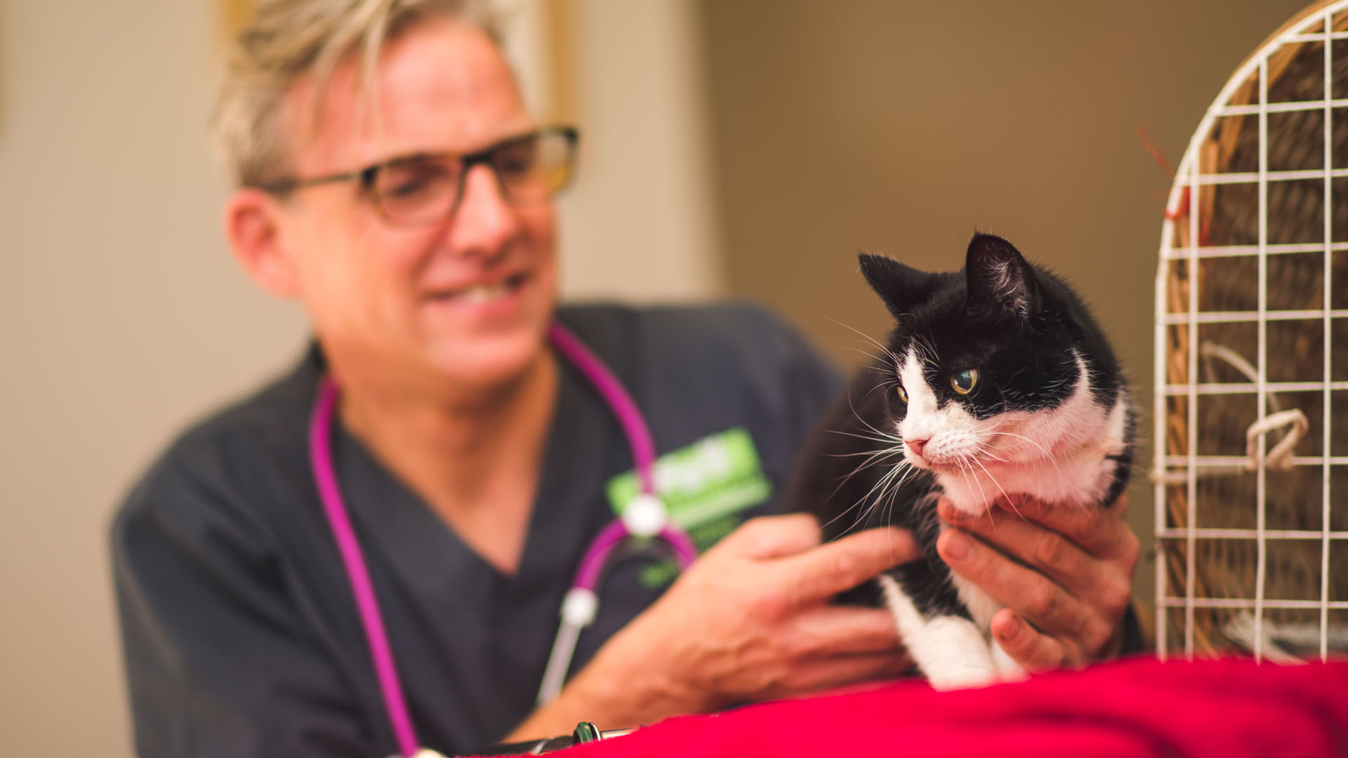 Blanchardstown Vets | Vets in Dublin - Anicare Ireland