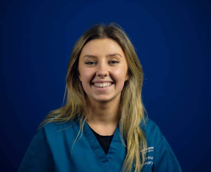 Meet the Team | Vets in Dublin - Anicare Ireland