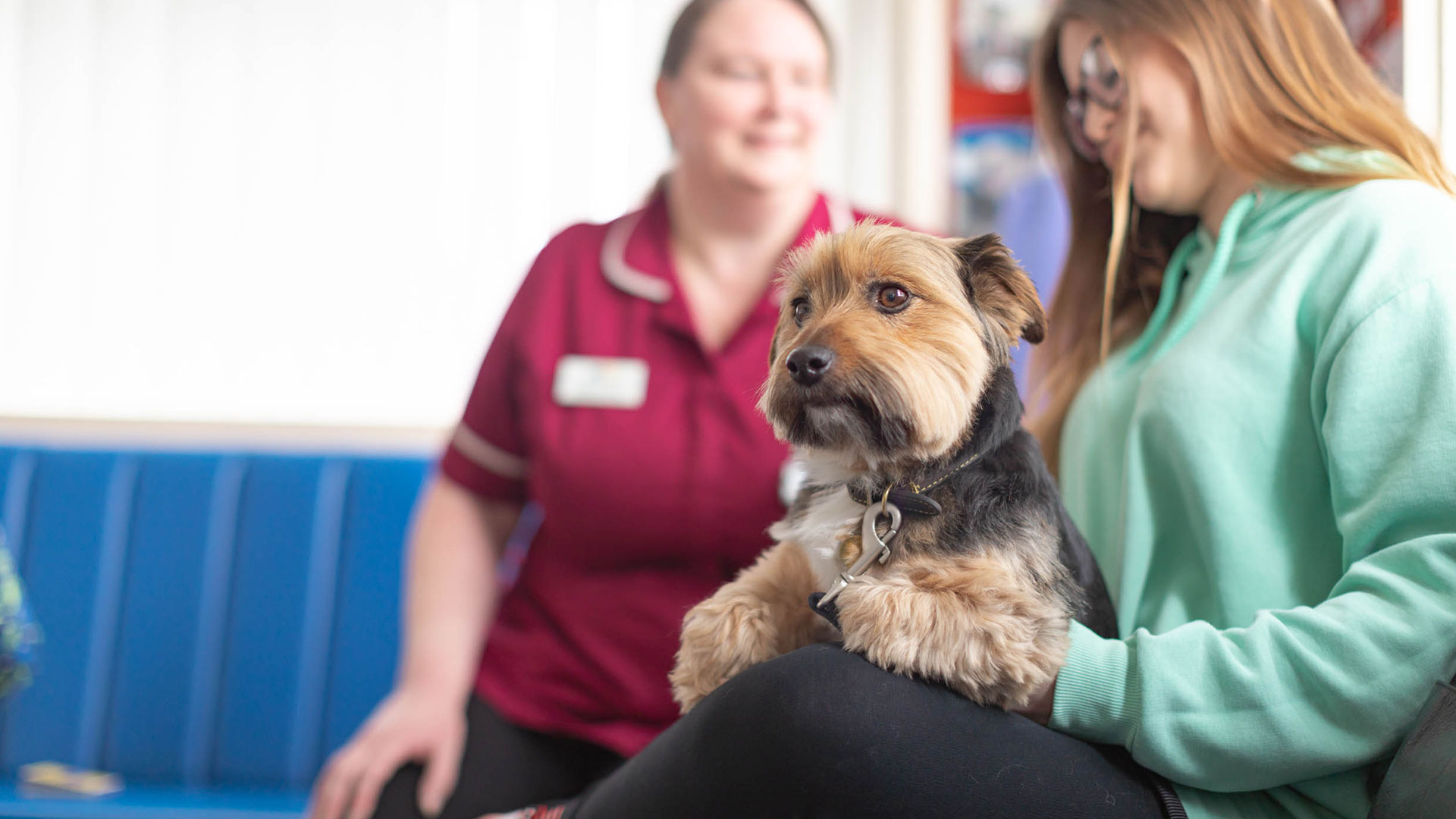Blog | Local Vets in Colchester - Ark Veterinary Centre