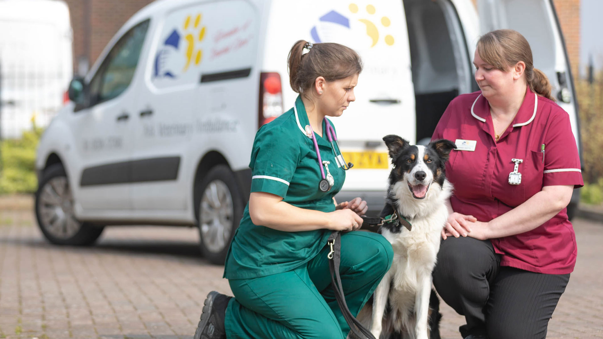 Contact Us | Local Vets in Colchester - Ark Veterinary Centre
