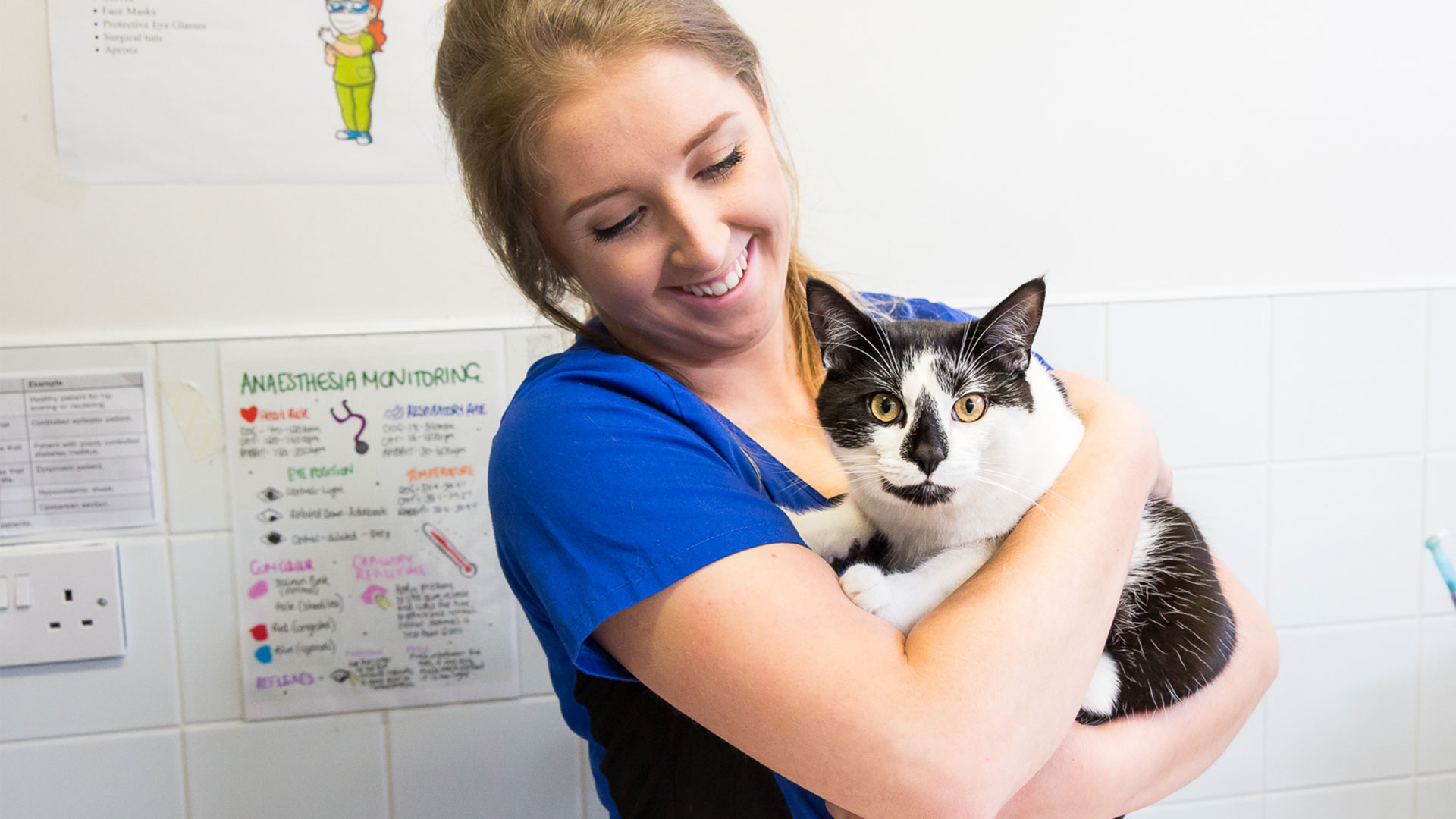 Blog | Ark Vets Galway - Ark Vets Galway