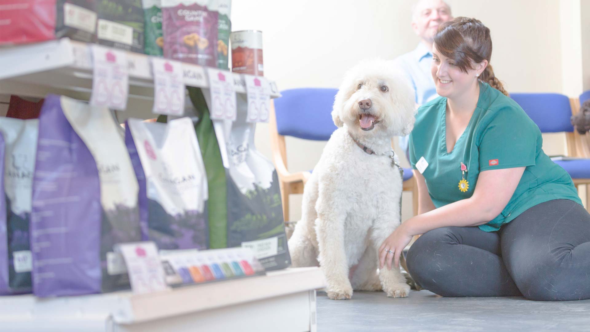 Great Pet Offers in Kent | Vets in Kent - Barrow Hill