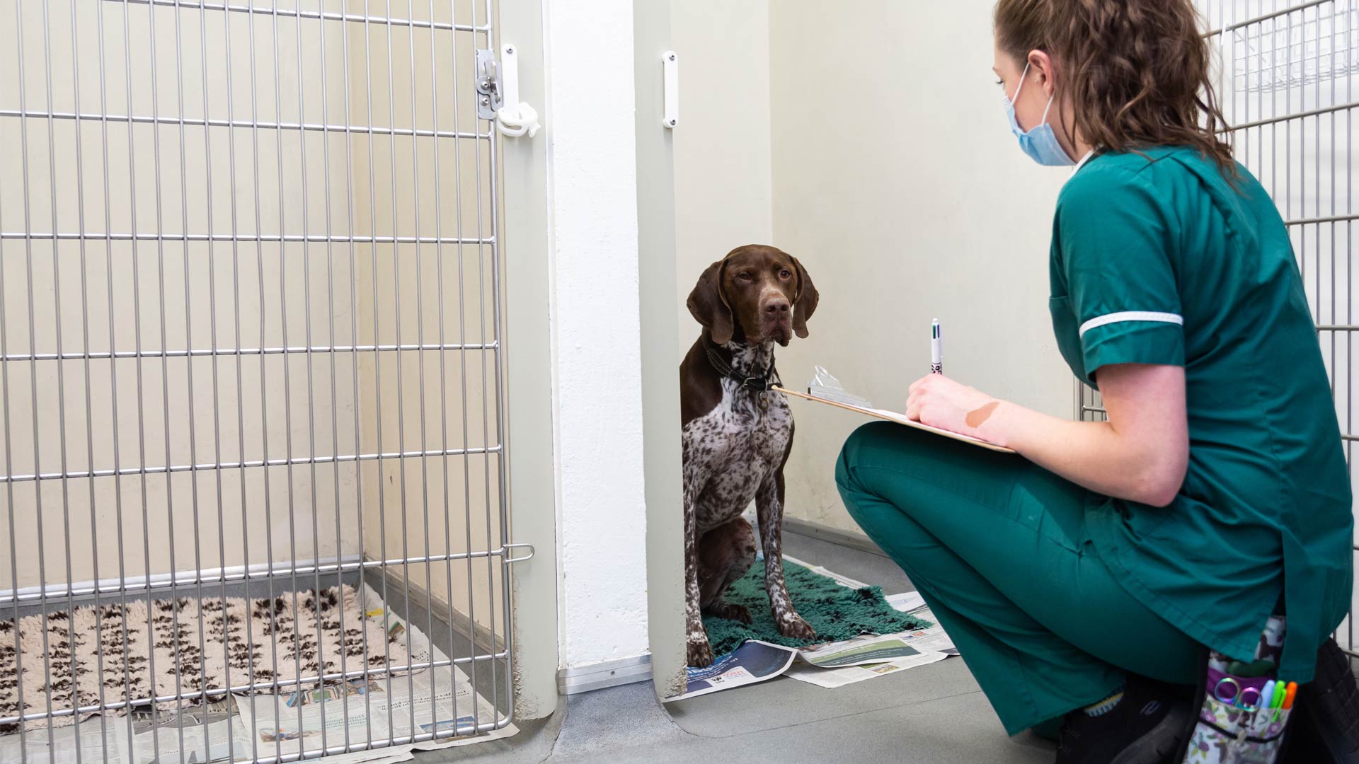 Air-conditioned Veterinary Hospital | Local Vets in Kent - Barrow Hill