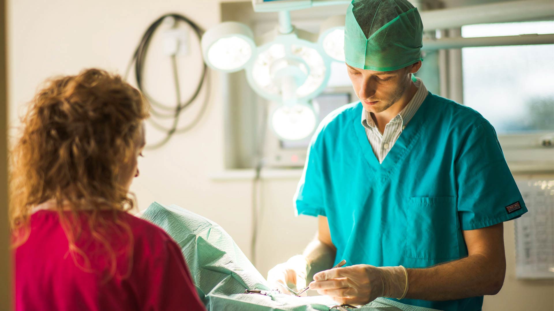 Animal Endoscopy and Laparoscopy | Local Vets in Kent - Barrow Hill