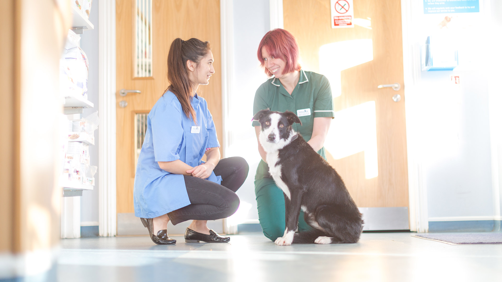 Latest news from Barton Lodge Veterinary Centre - Barton Lodge ...