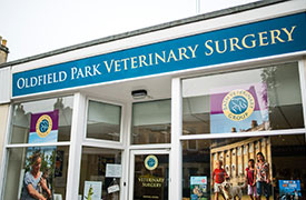 Contact Bath Vet Group in Bath - Bath Vet Group