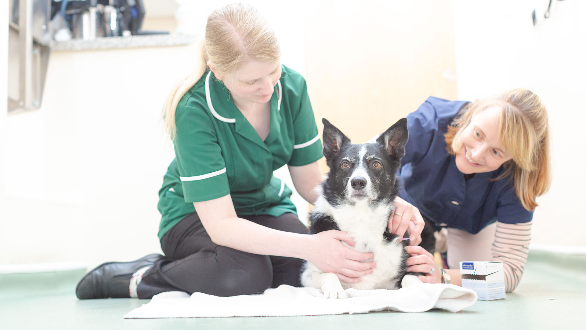 Information - Berry House Vets