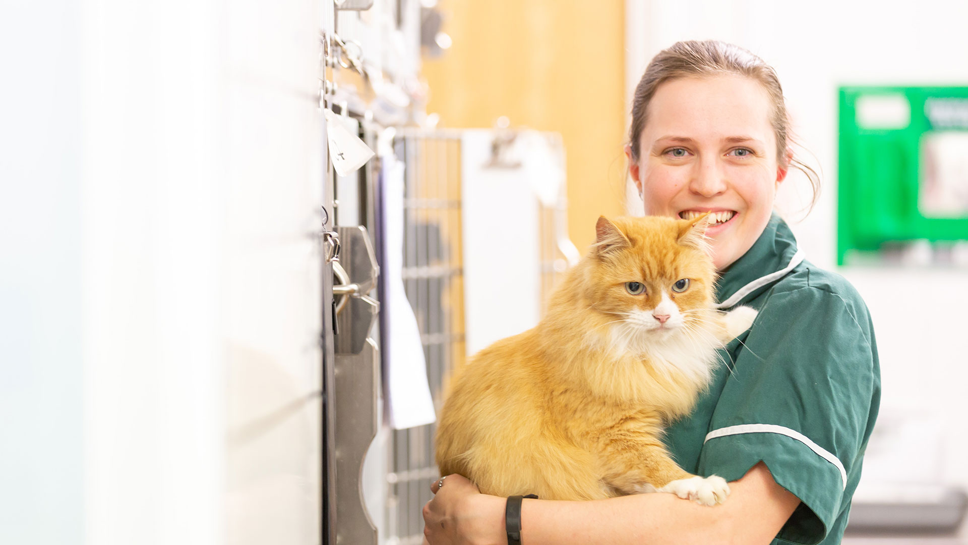 Services | Berry House Vets | Local Vets in Hitchin and Shefford ...