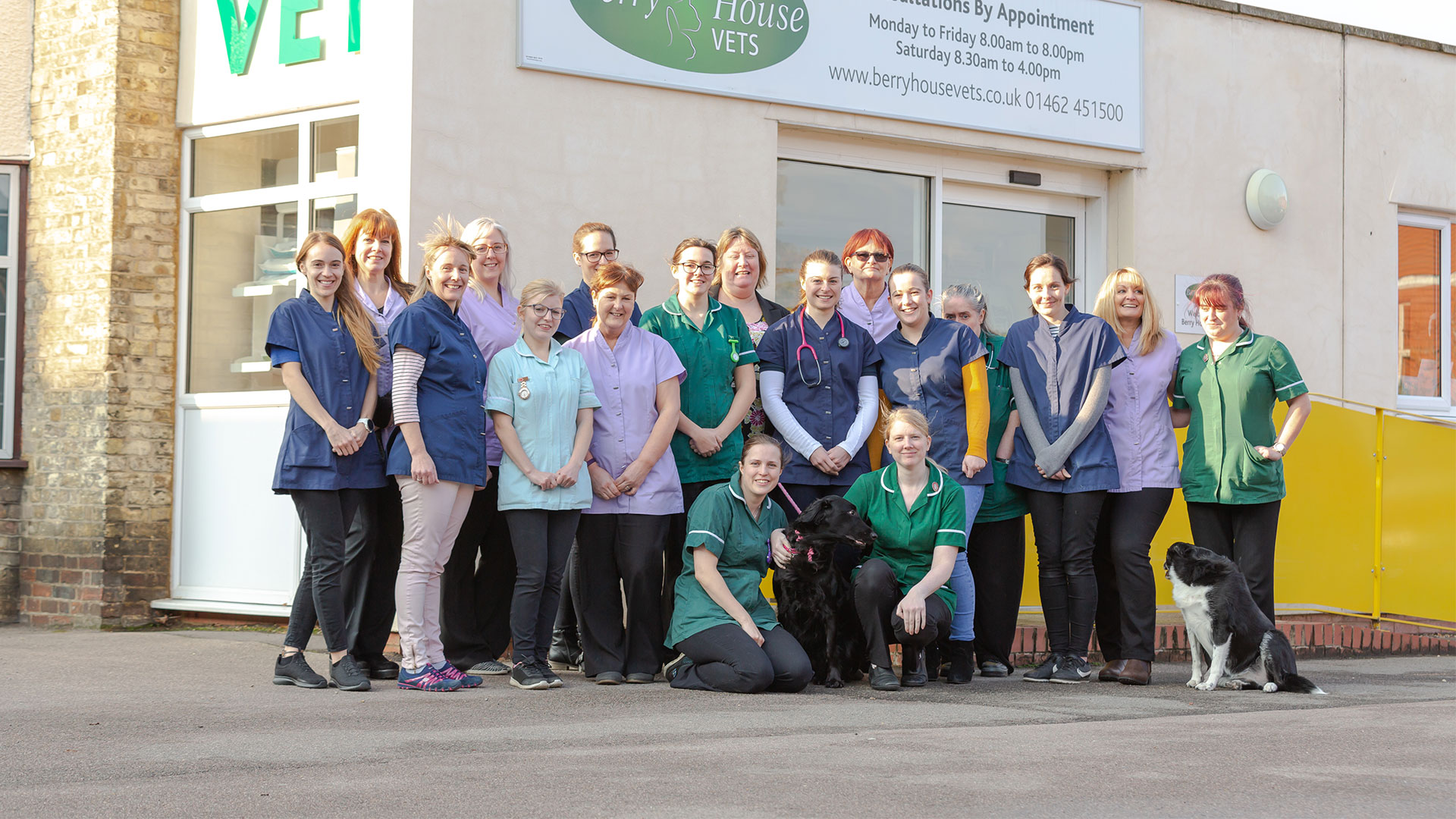 About Us | Berry House Vets | Local Vets in Hitchin and Shefford ...