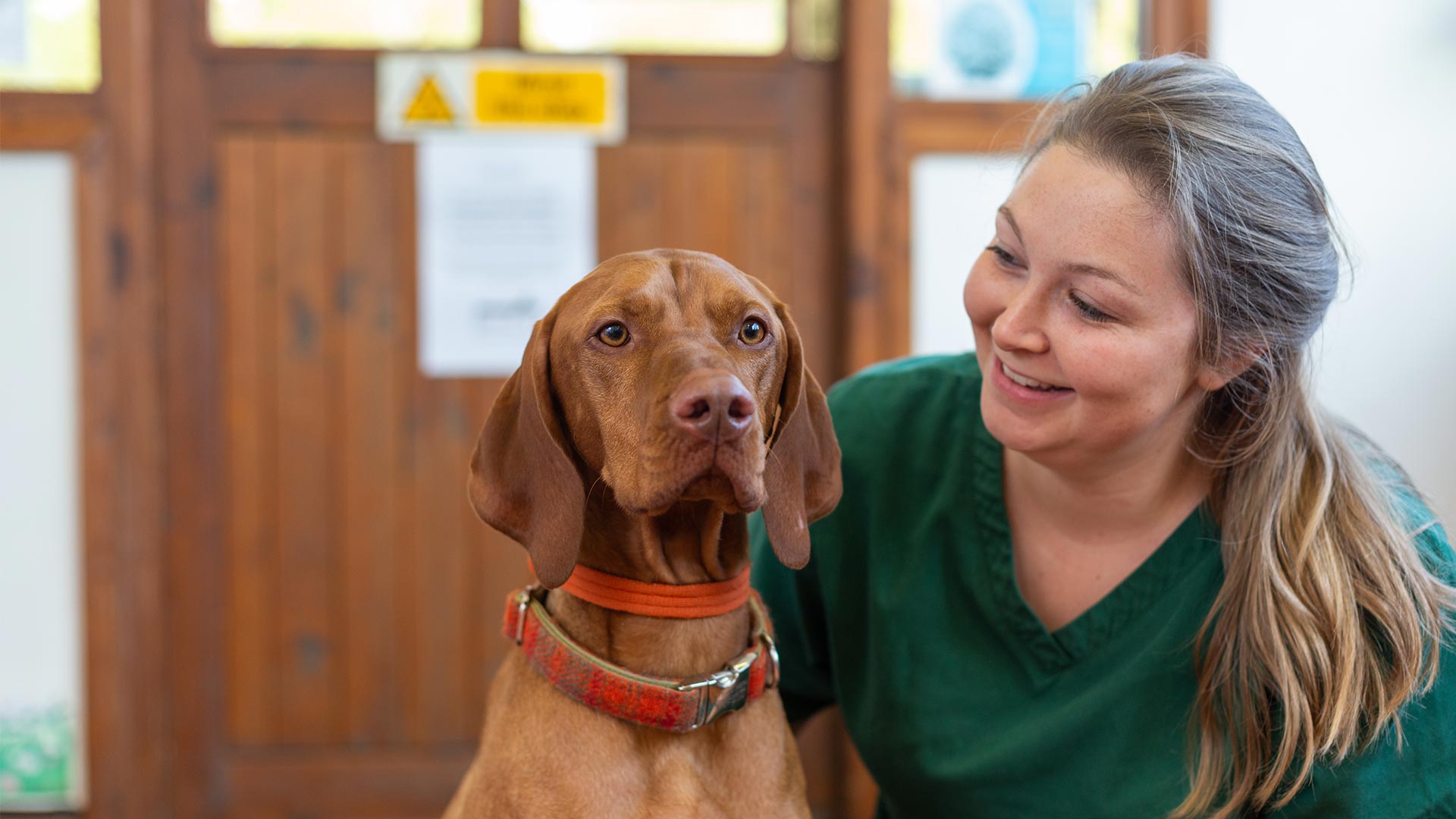 Blackberry Veterinary Clinic | Local Vets in Lingfield - Blackberry Vets