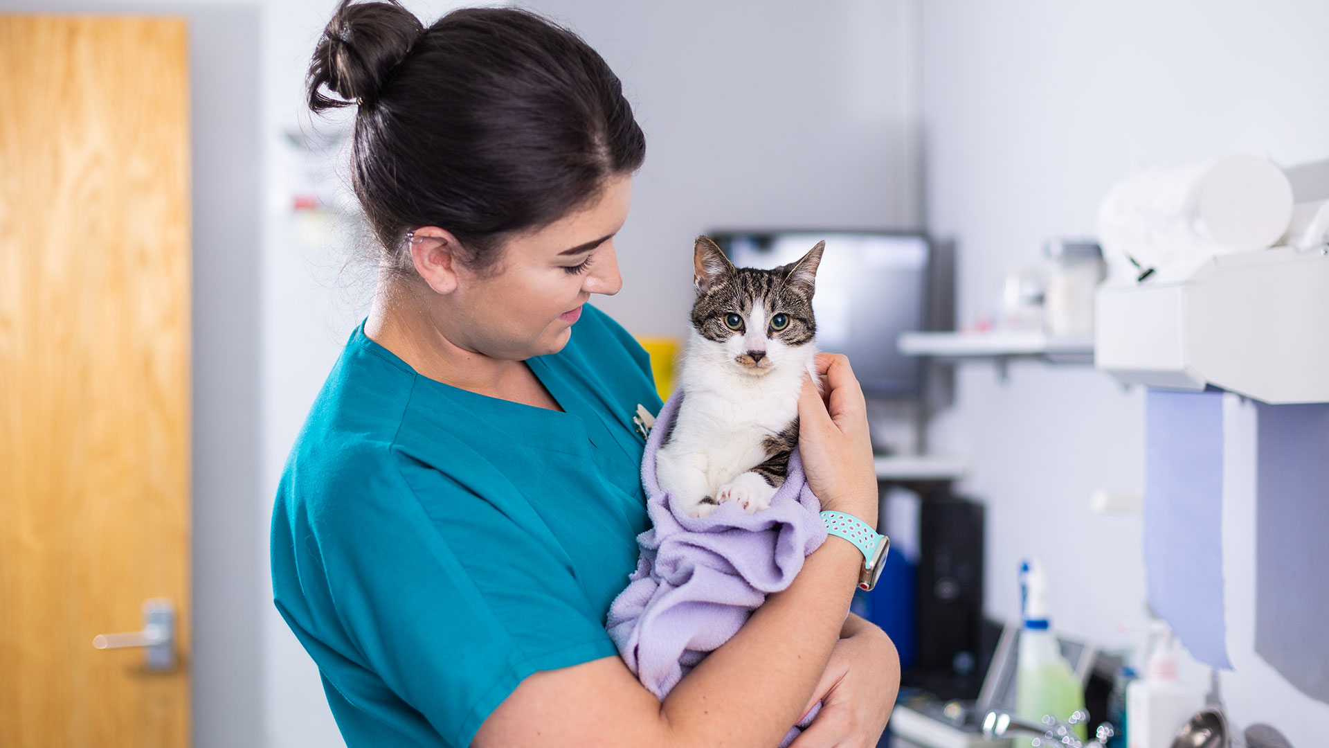 Vets in Blackwood and Brynmawr | Caring Blackwood Vets - Bridge Vets Wales