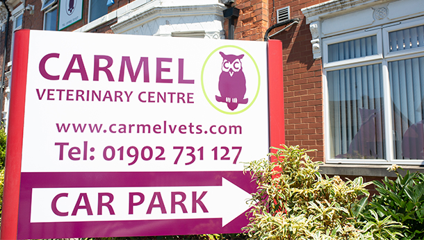About Carmel Vets | Vets in Wolverhampton - Carmel Vets