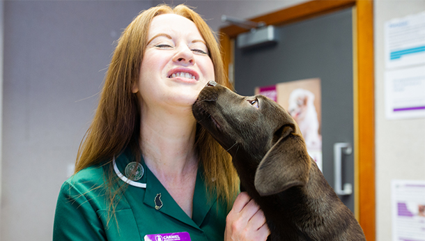 About Carmel Vets | Vets in Wolverhampton - Carmel Vets