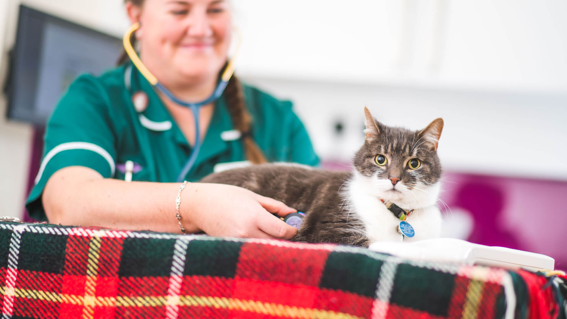 Meet the Team | Local Vets in Carterton - Carterton Vets