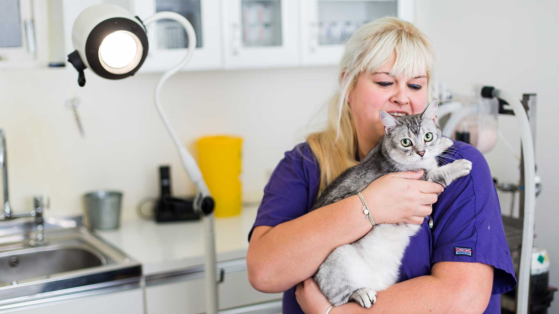 Contact us | Local Vets in Llandudno - Cater Vets