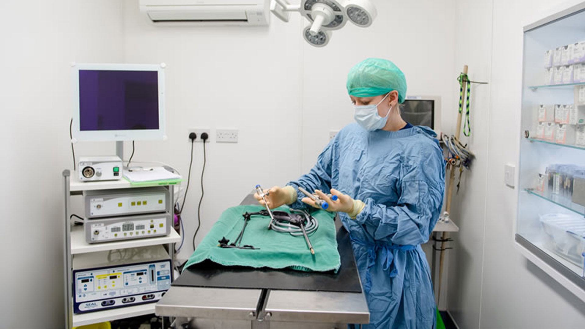 Laparoscopy | Local Vets in Ware - Chestnut Vets