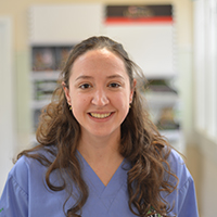 Meet the Team | Local Vets in Caernarfon - Cibyn Vet Clinic