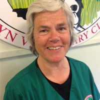 Snowdonia Eye Vets | Specialist Ophthalmic Referrals - Cibyn Vet Clinic