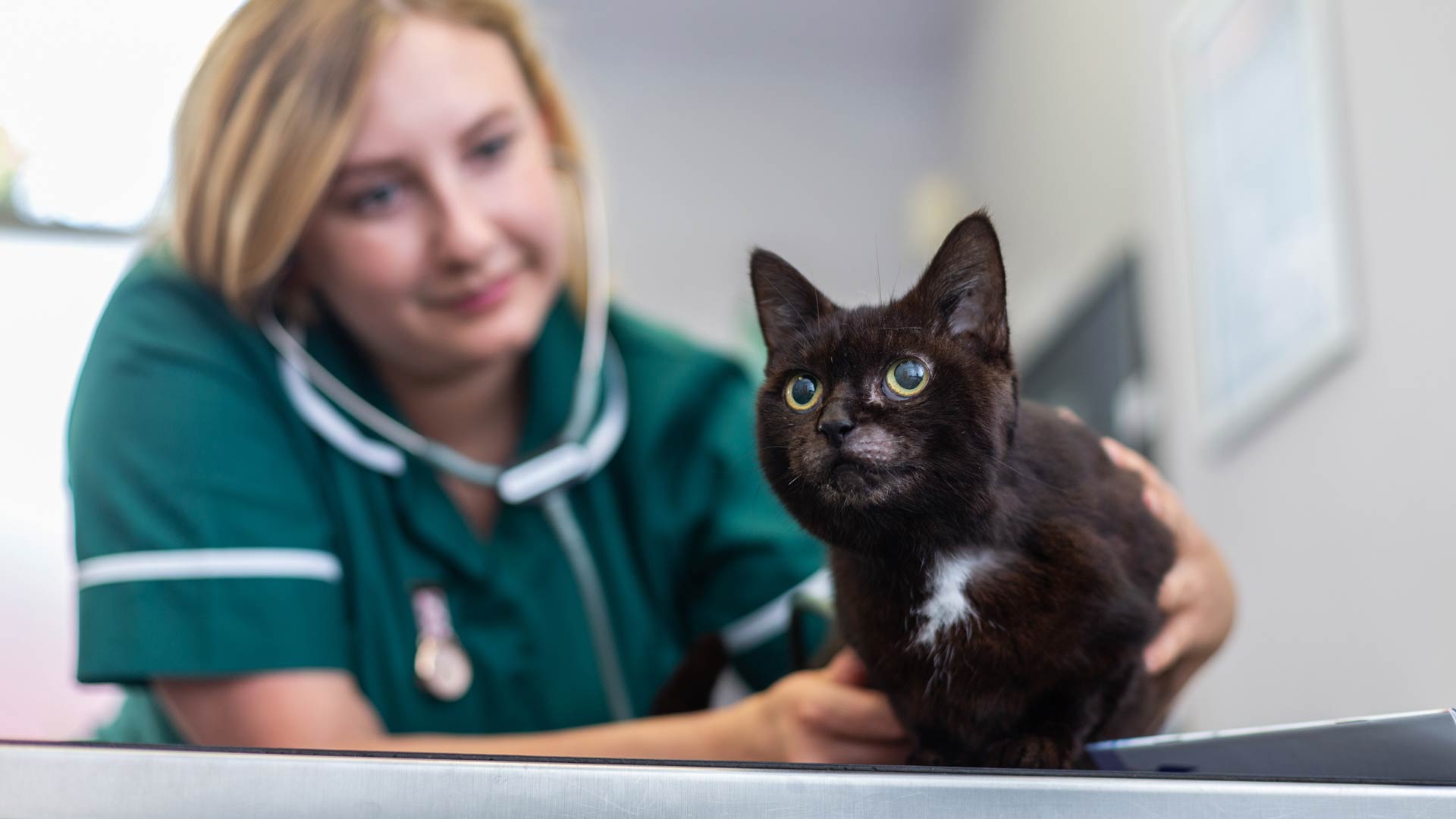 Bromsgrove Vets | Vet in Bromsgrove - Clent Hills Vets