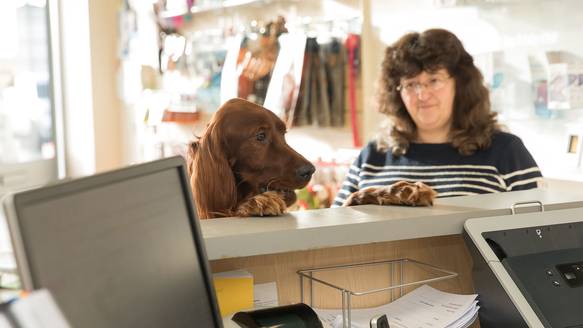 Learn More About Your Local Congleton Vet - Congleton Vets