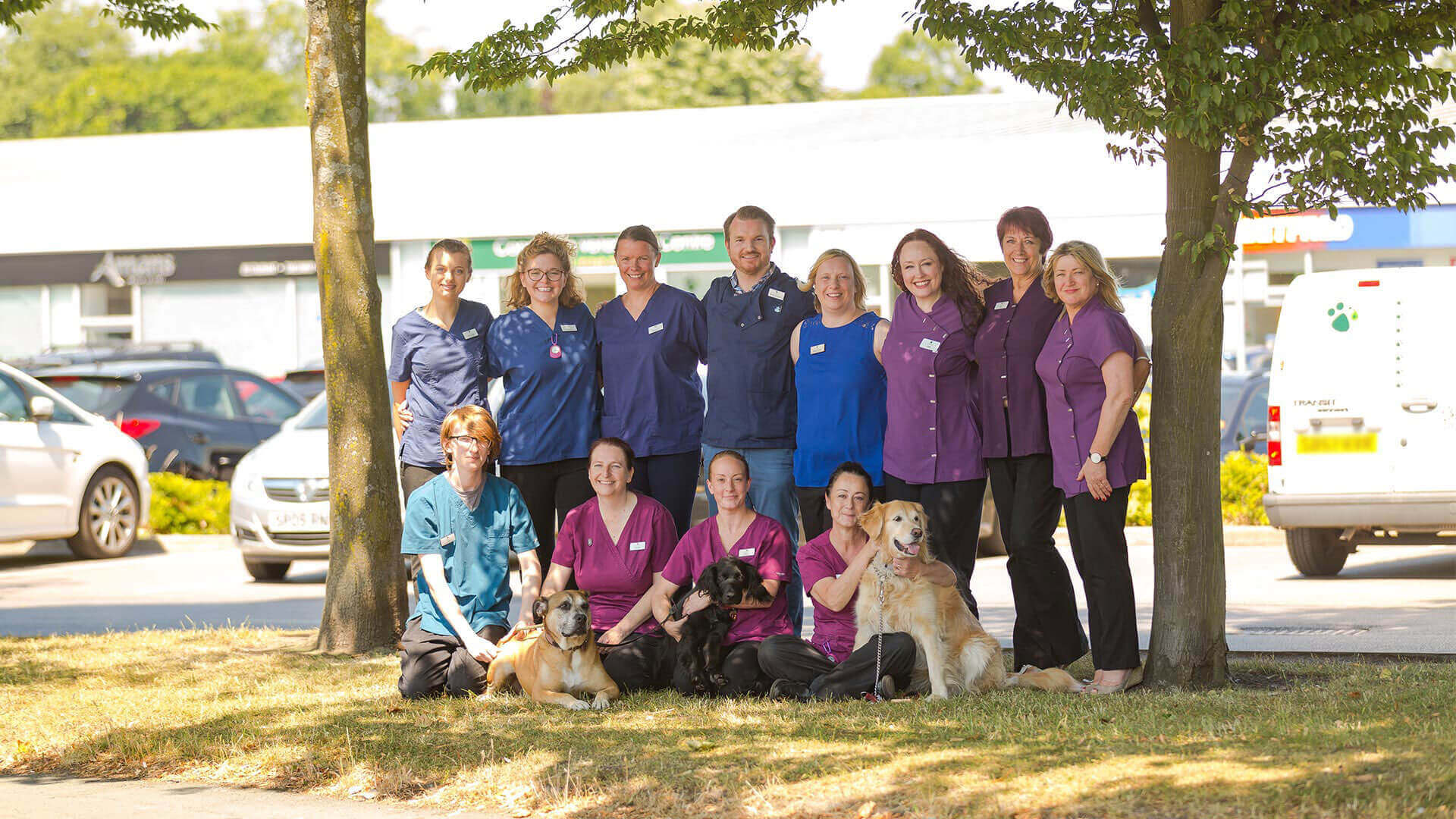 Pet Health Report Card | Local Vets in Cheshire - Congleton Vets