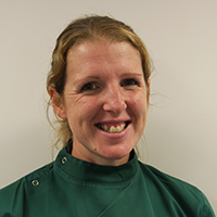 Vets In Axminster and Seaton | Local Vets In And Around Axminster and ...