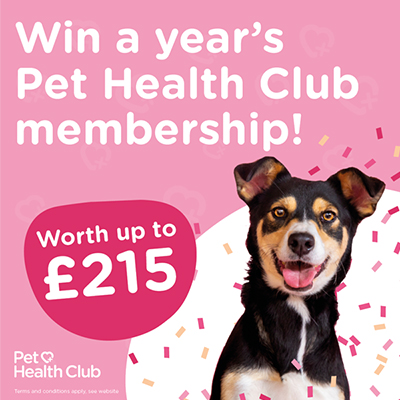 Craemill Veterinary Clinic | Home - Craemill Veterinary Clinic