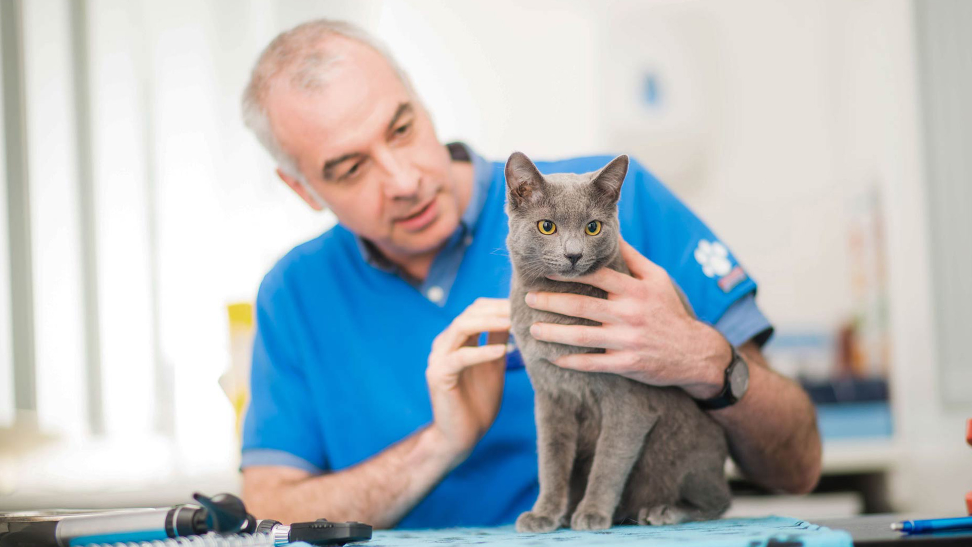 Craemill Veterinary Clinic | Meet the Team - Craemill Veterinary Clinic