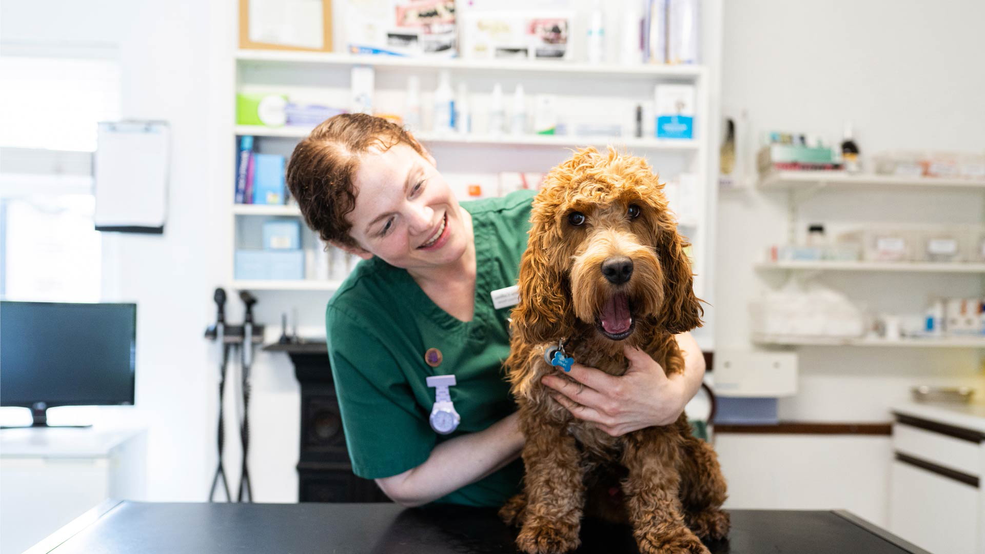 Craemill Veterinary Clinic | Small Animals Routine Service - Craemill ...