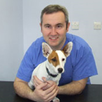 Meet the Team | Local Vets in Limerick - Crescent Veterinary Clinic