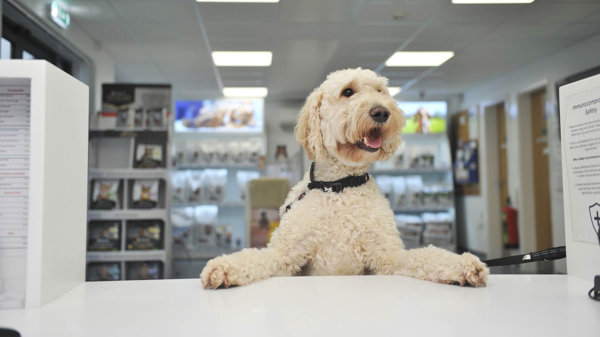 Fees and Payment | Local Vets in Brackley - Croft Vet Centre
