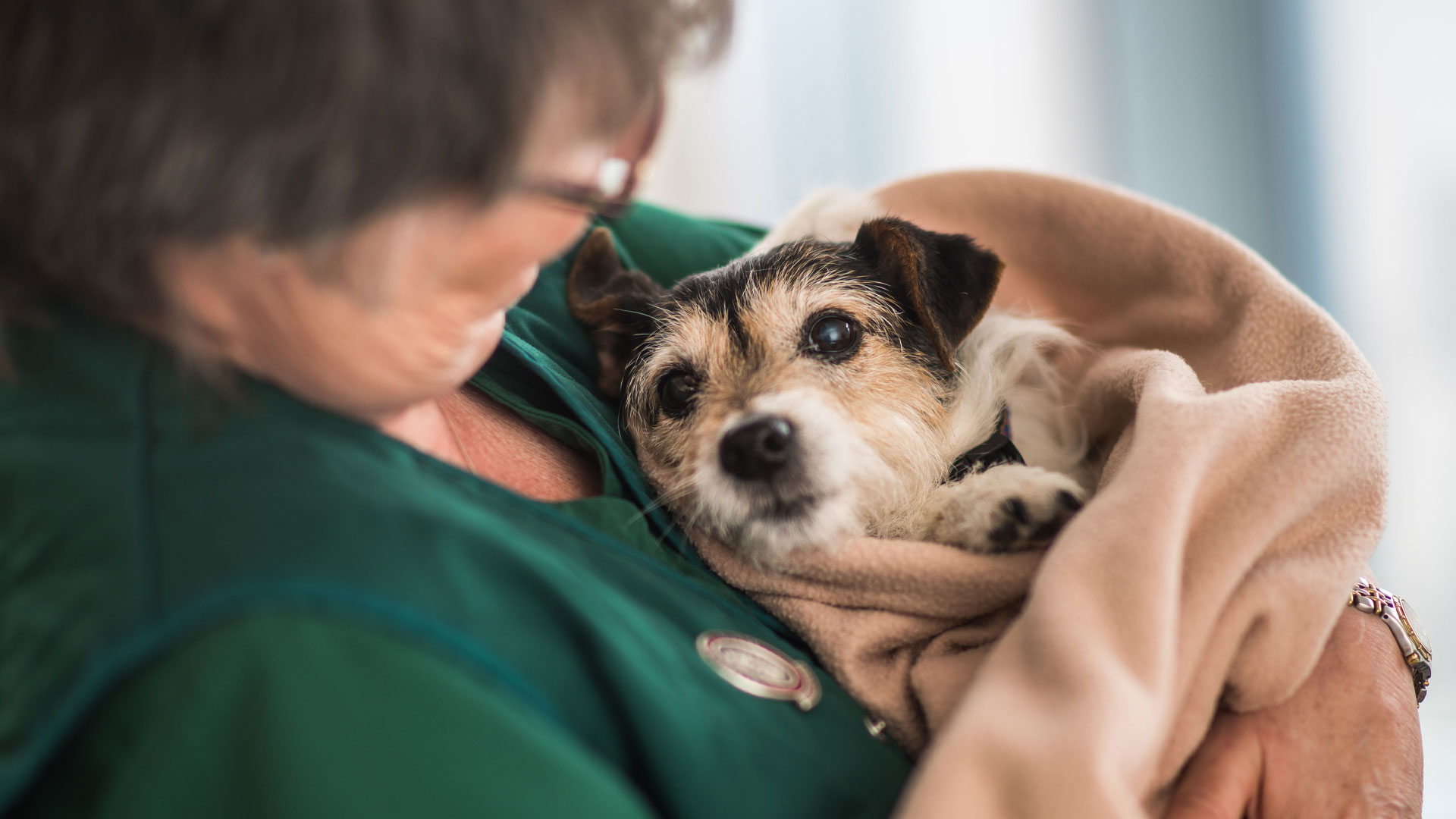 Medication | Local Vets in Brackley - Croft Vet Centre