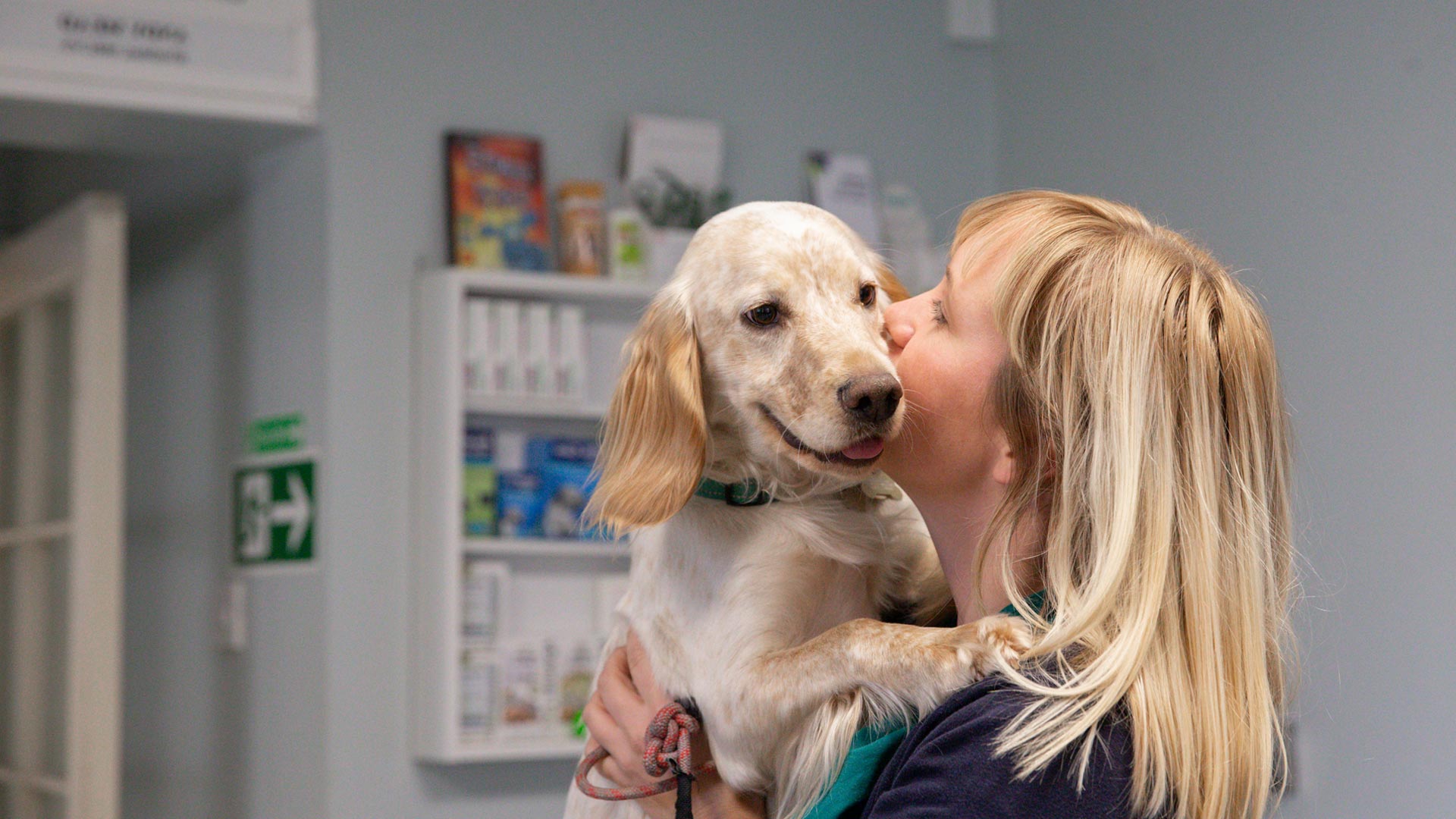 Facilities | Local Vets in Storrington, Findon and Steyning - Crossways ...