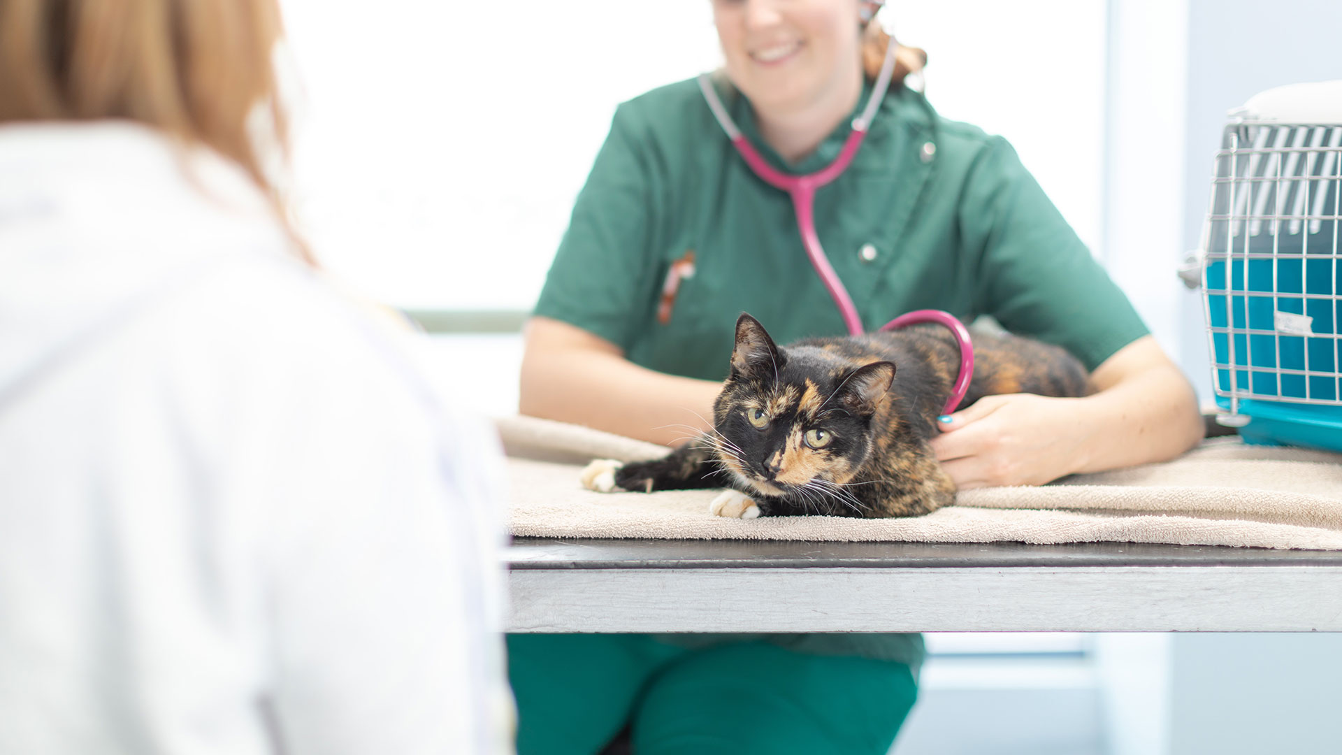 Special Vet Offers | Rochdale - Crown House Vets