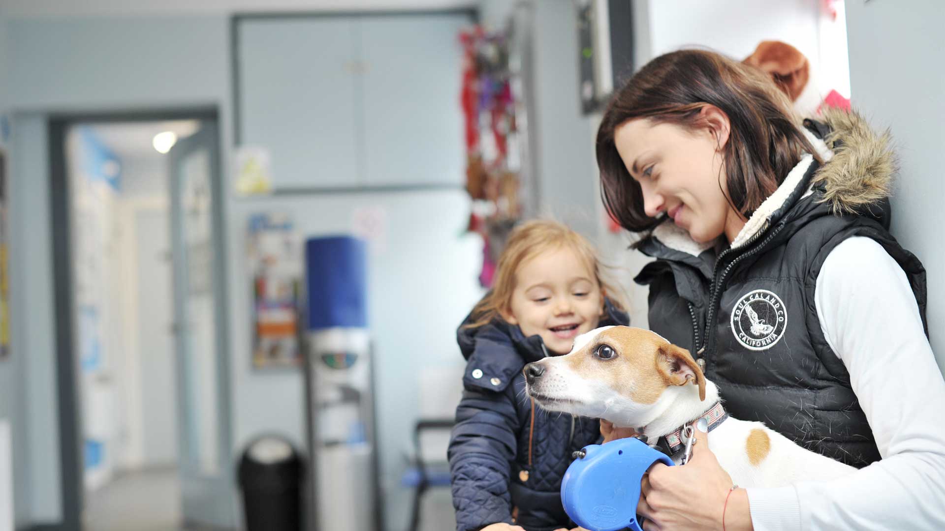 Client Charter | Local Vets in Inverness - Crown Vets