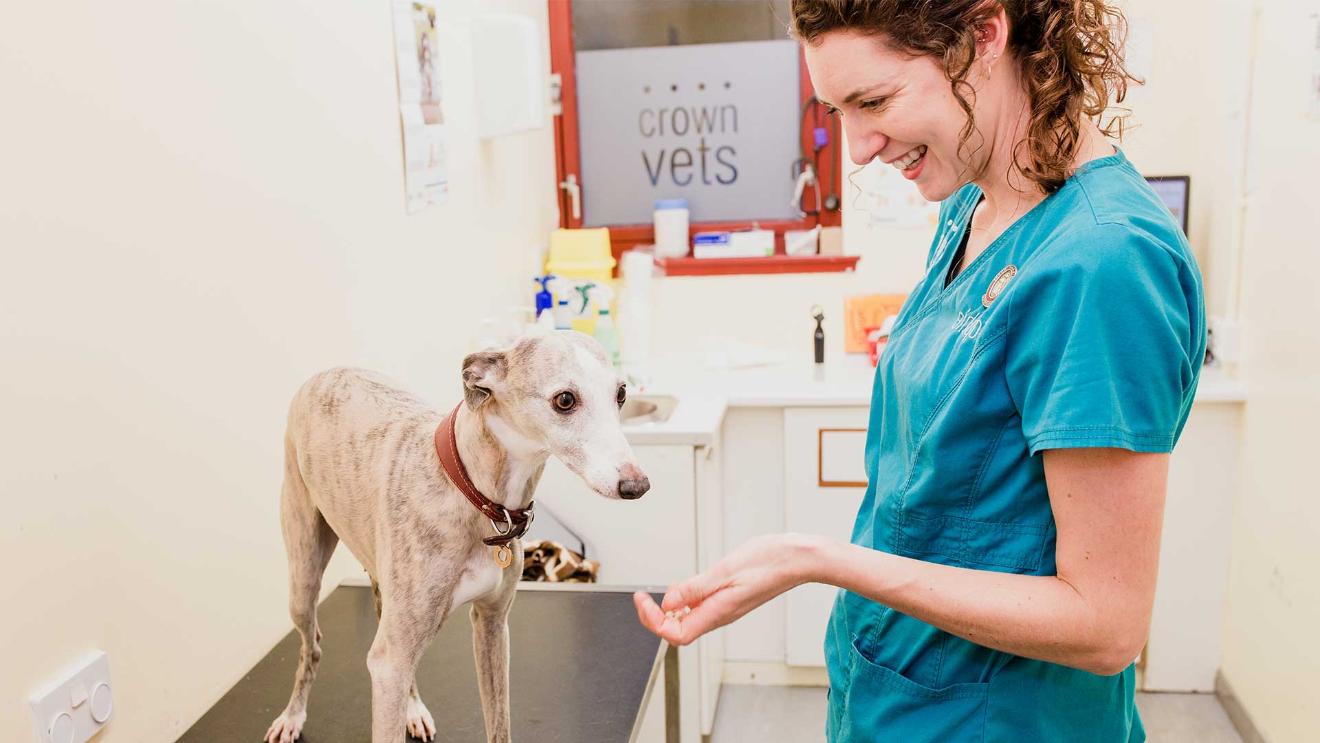 Register your Pet | Local Vets in Fort William - Crown Vets Fort William