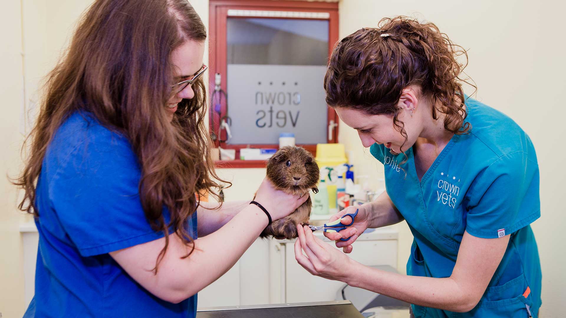 Companion Animal Veterinary Services | Local Vets in Fort William ...