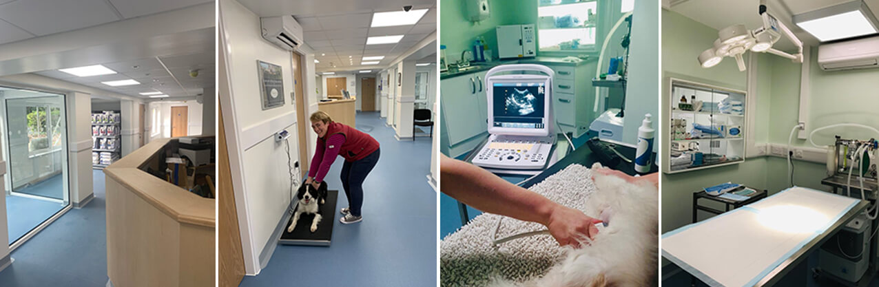 Find Vet Clinics In Upper Rissington | Dragon Vets - Dragon Vets