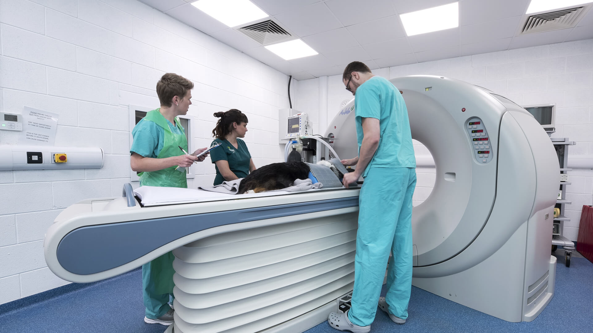 Advanced Imaging Request Form | Referral Vets in Belfast - Earlswood Vets