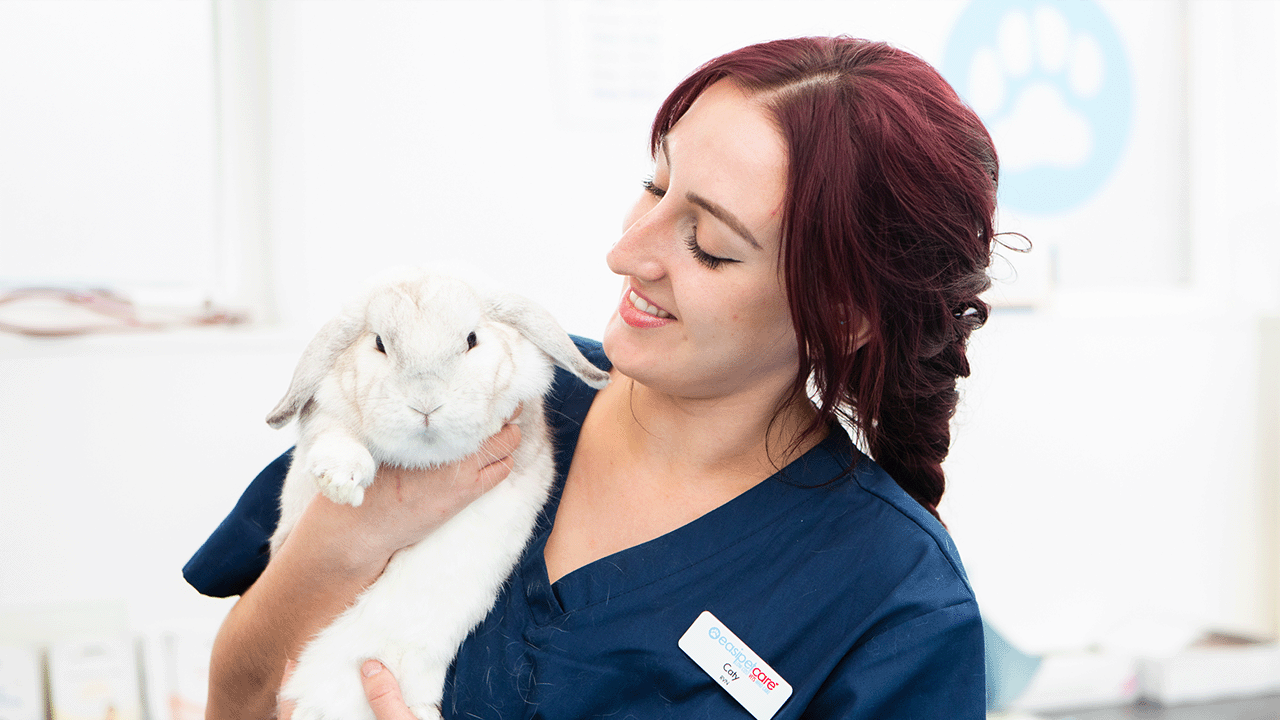 Your Derby Team | Derby Vets - easipetcare