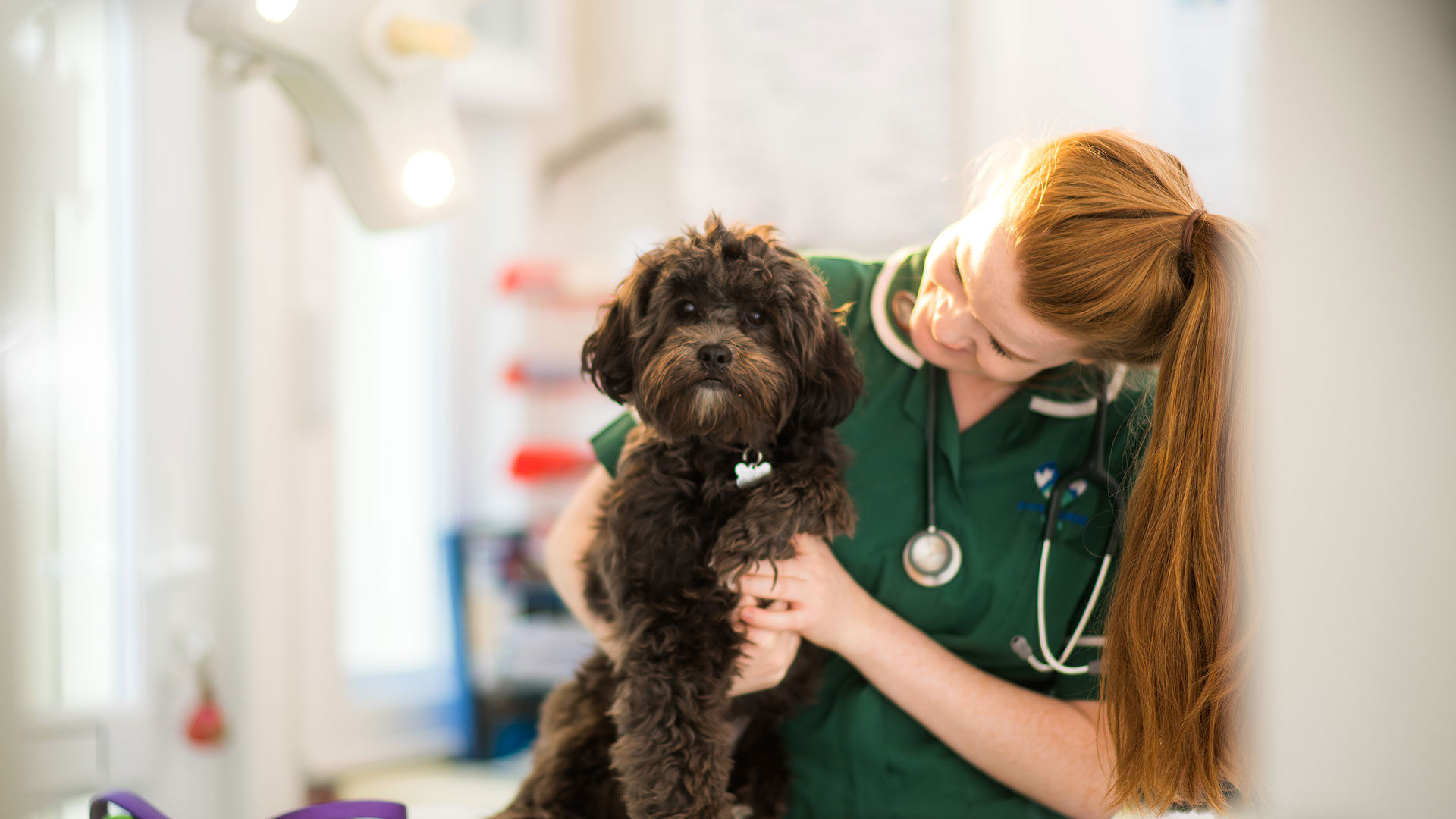 Meet the Team | Local Vets in Eastbourne - Eastbourne Vets Meet the Team | Local Vets in Eastbourne - Eastbourne Vets