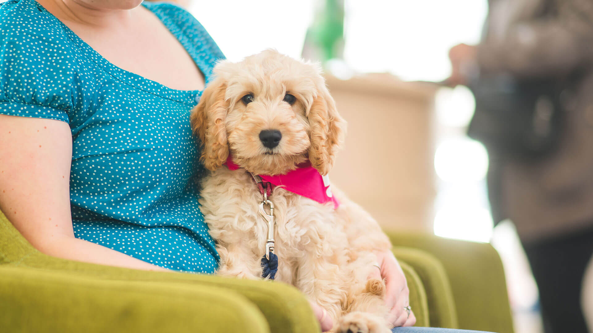 Contact Us | Local Vets in Norwich - Eaton Vets