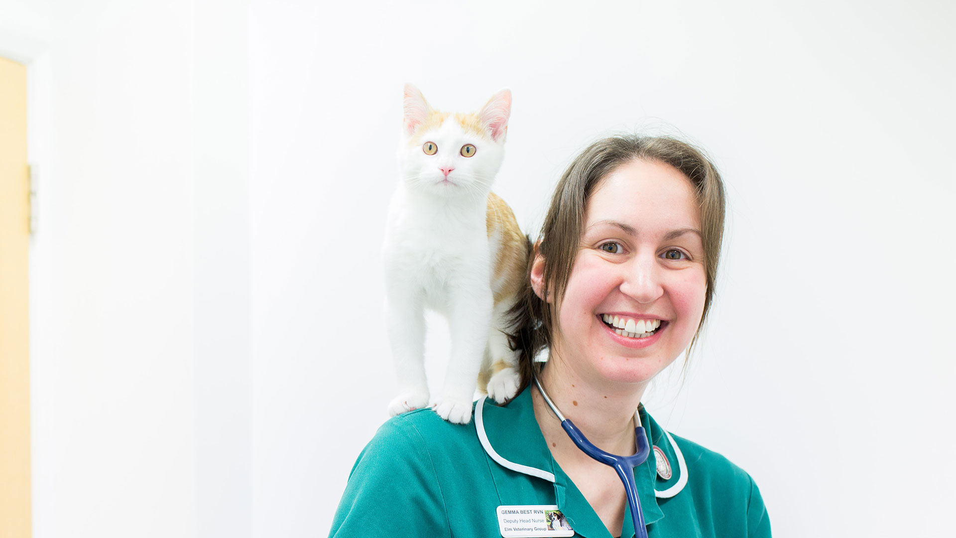 Our Vets & Specialists | Plymouth | Elm Veterinary Group - Elm Vets ...