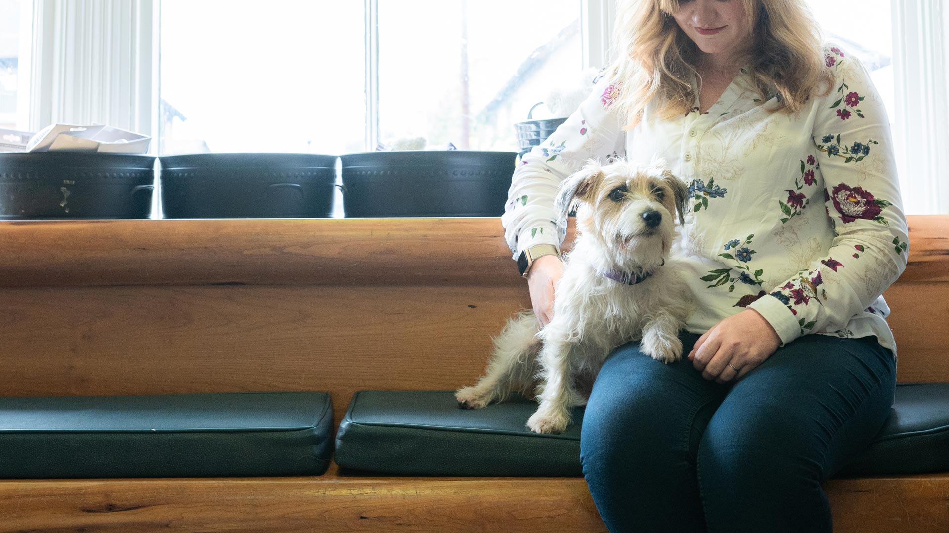 Surgical Procedures | Local Vets in Warwick - Emscote Vets