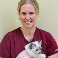 Meet the Team | Local Vets in Warwick - Emscote Vets