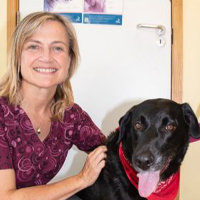 Meet the Team | Local Vets in Warwick - Emscote Vets