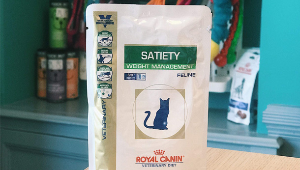 Welcome to Fair City Vets | Vets in Perth, Auchterarder and Scone ...