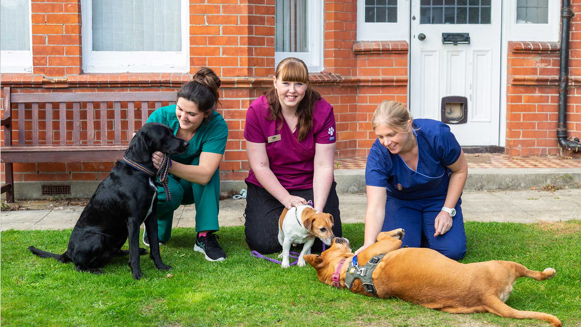 Contact Us | Local Vets in Hampshire - Forest Lodge Vets